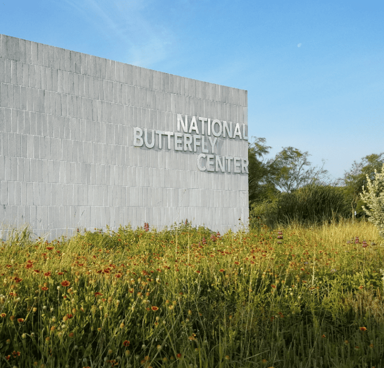 About - North American Butterfly Association