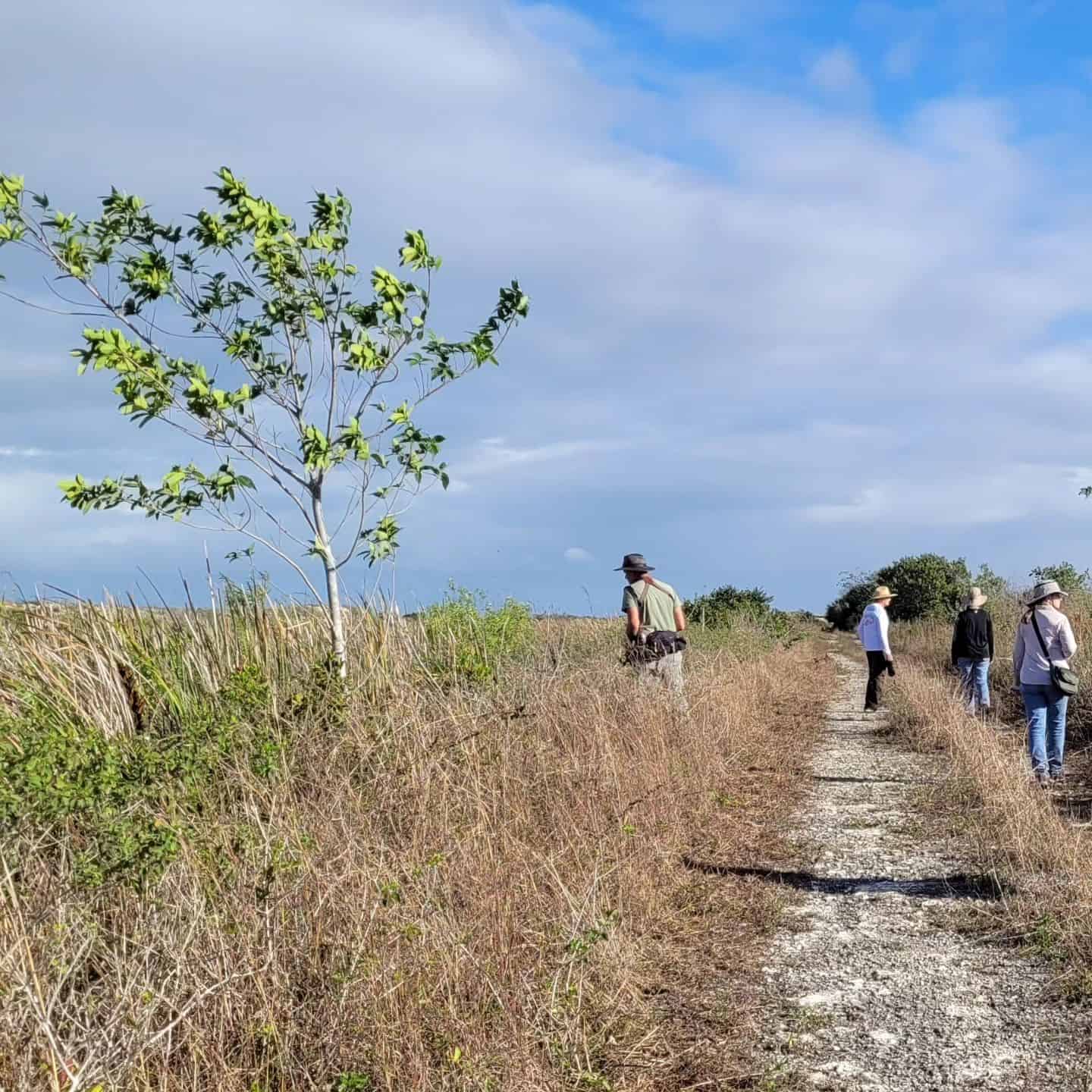 About - North American Butterfly Association