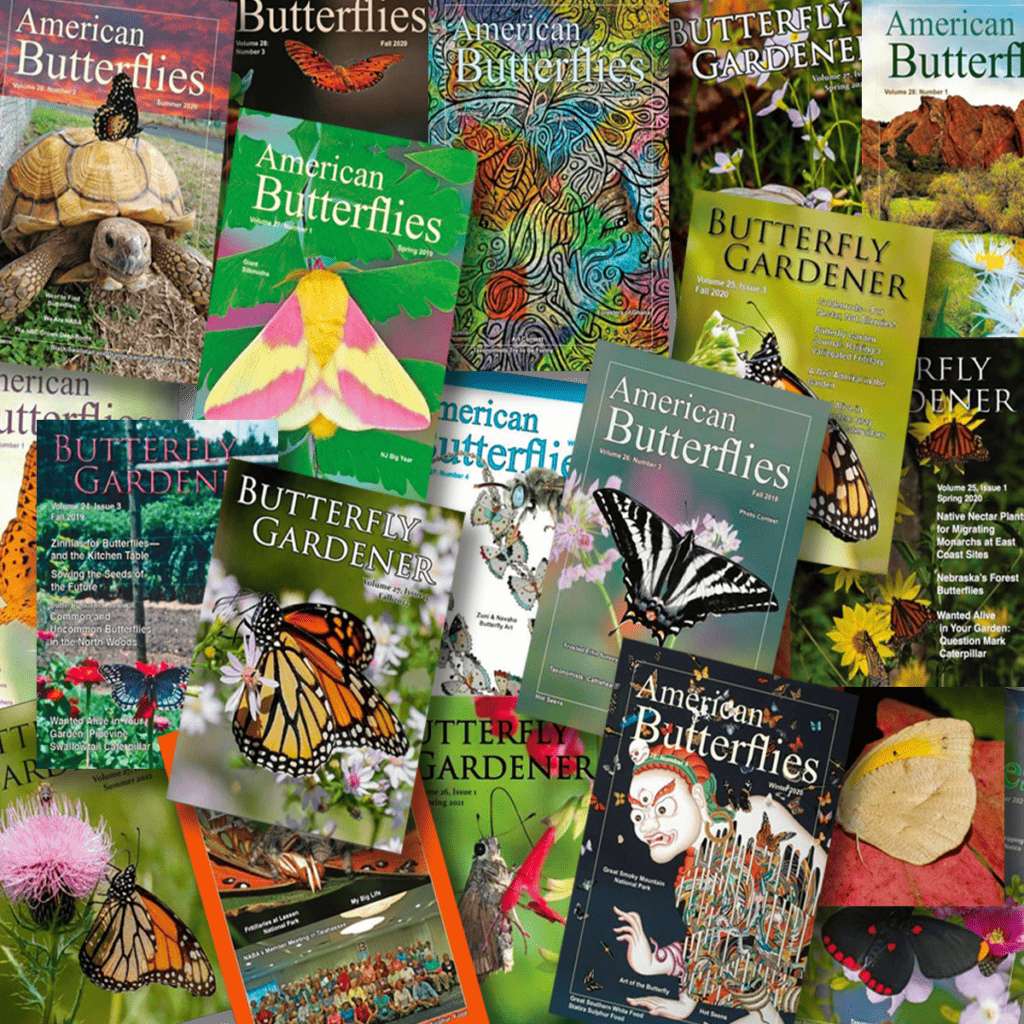 About - North American Butterfly Association