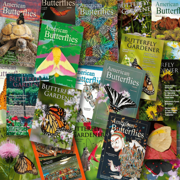 About - North American Butterfly Association