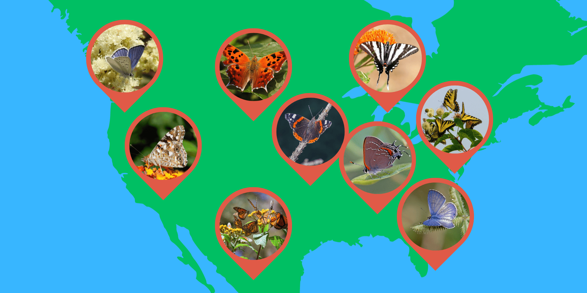 NABA Butterfly Count Circles - North American Butterfly Association