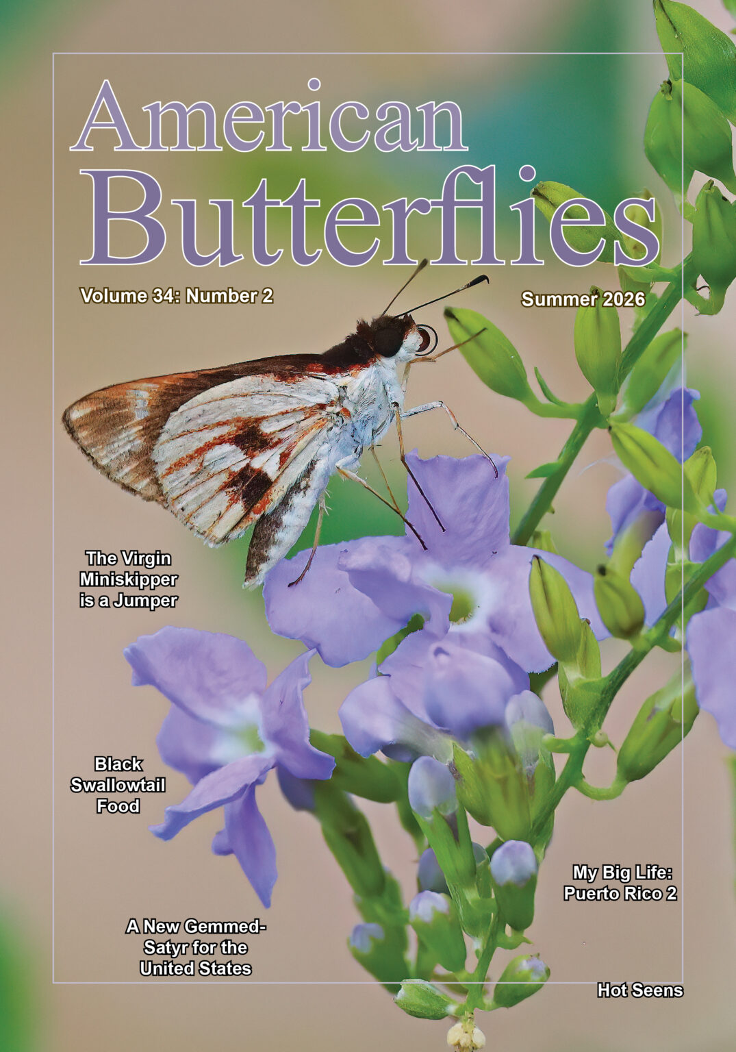 American Butterflies a Magazine by North American Butterfly Association