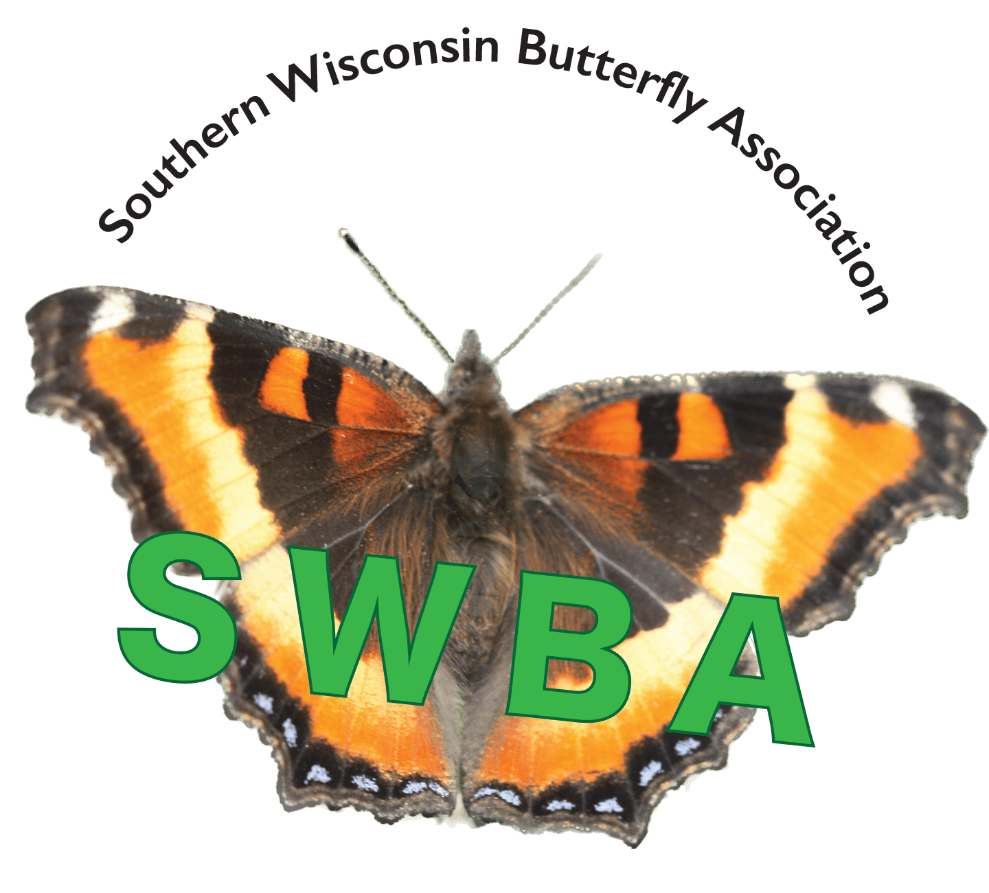 Southern Wisconsin Butterfly Association - North American Butterfly ...