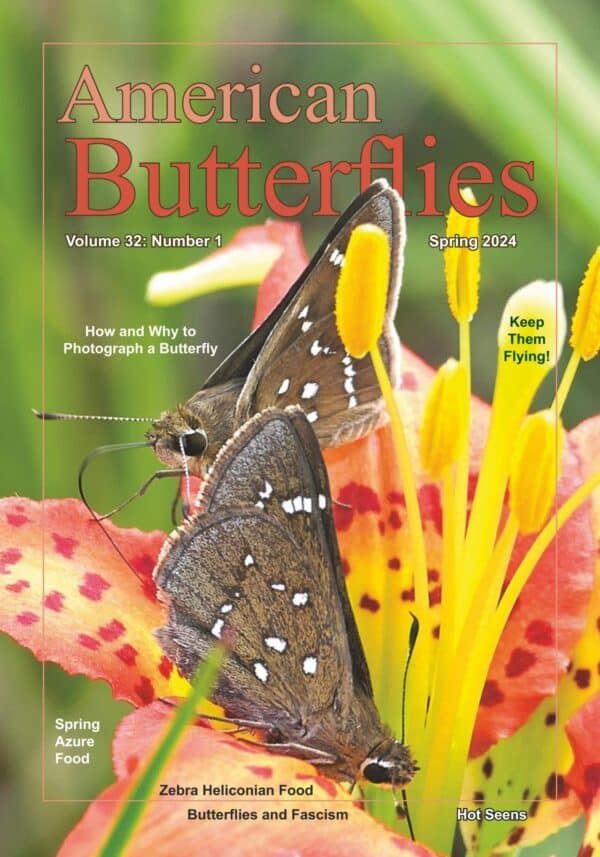American Butterflies a Magazine by North American Butterfly Association