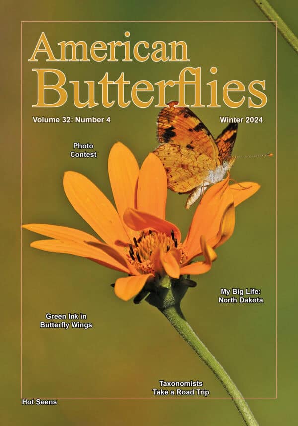 American Butterflies a Magazine by North American Butterfly Association